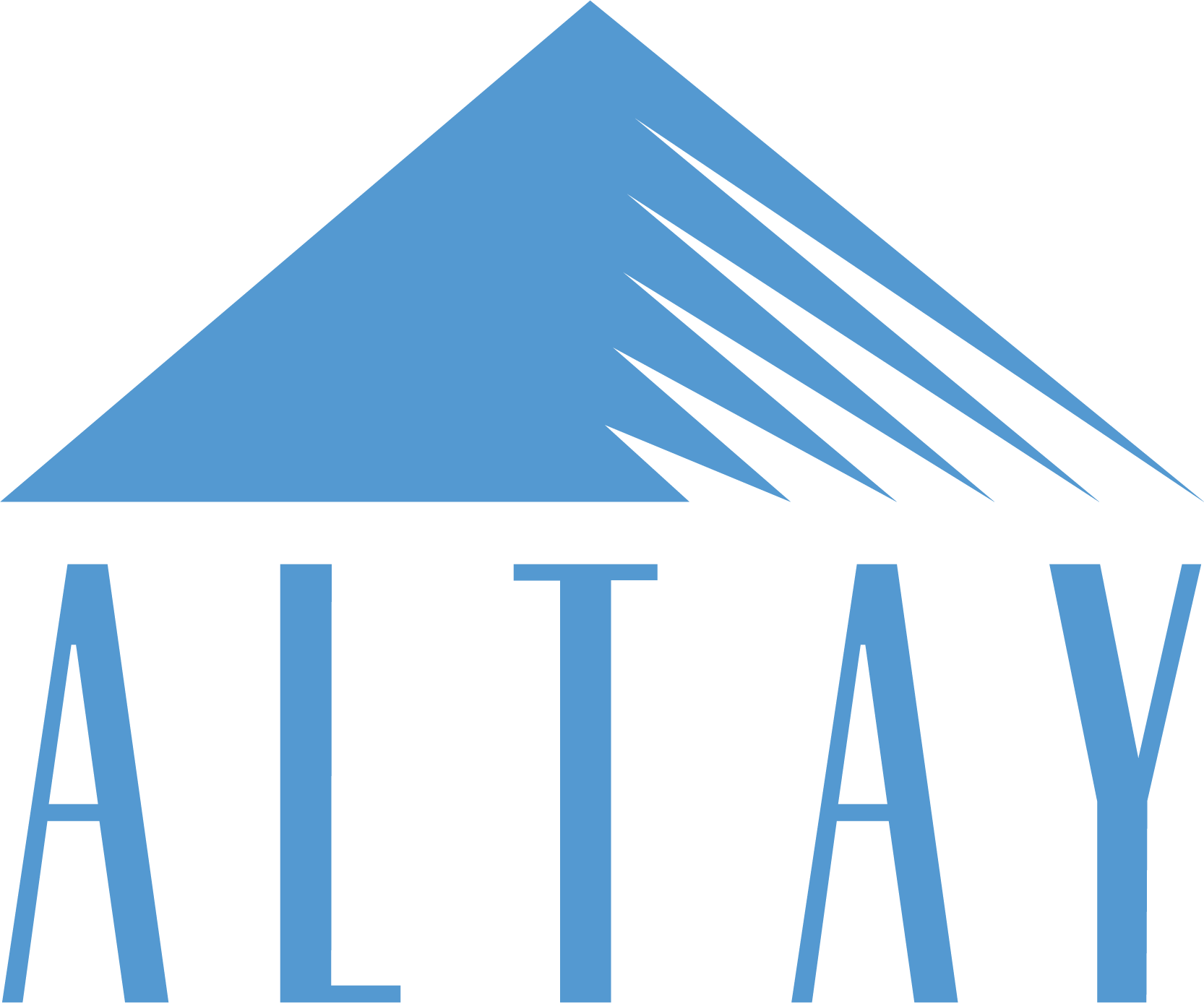 ALTAY YAZILIM SAVUNMA ENDÜSTRİYEL SANAYİ VE TİCARET A.Ş. - IDEF